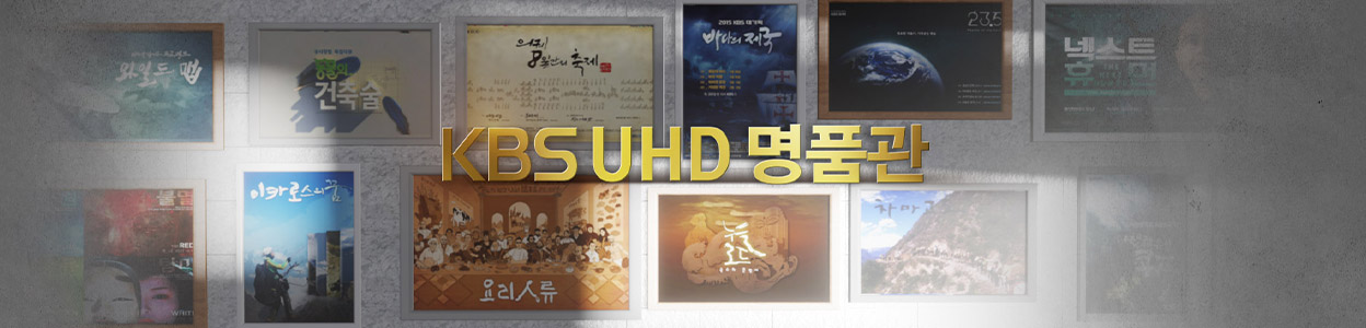 KBS WORLD TV